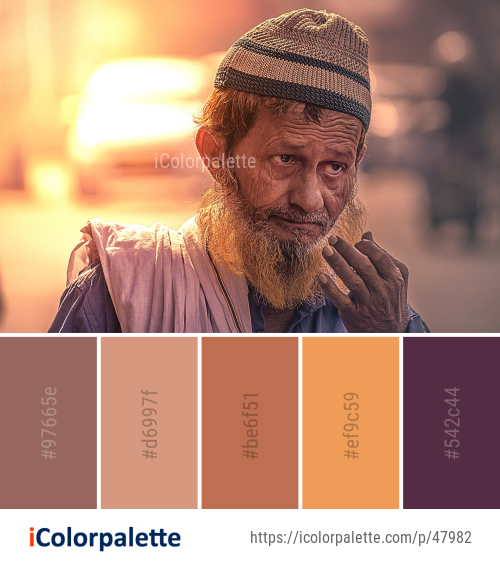 9+ Senior Citizen Color Palette ideas in 2026 | iColorPalette