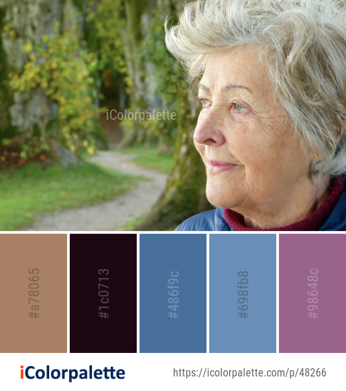 10 Senior Citizen Color Palette ideas in 2025 | iColorpalette