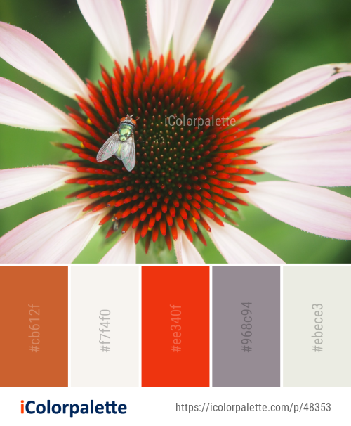 Color Palette Ideas from Flower Flora Nectar Image | iColorPalette