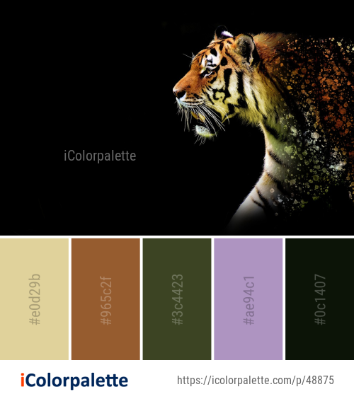 Color Palette Ideas from Mammal Wildlife Tiger Image | iColorpalette