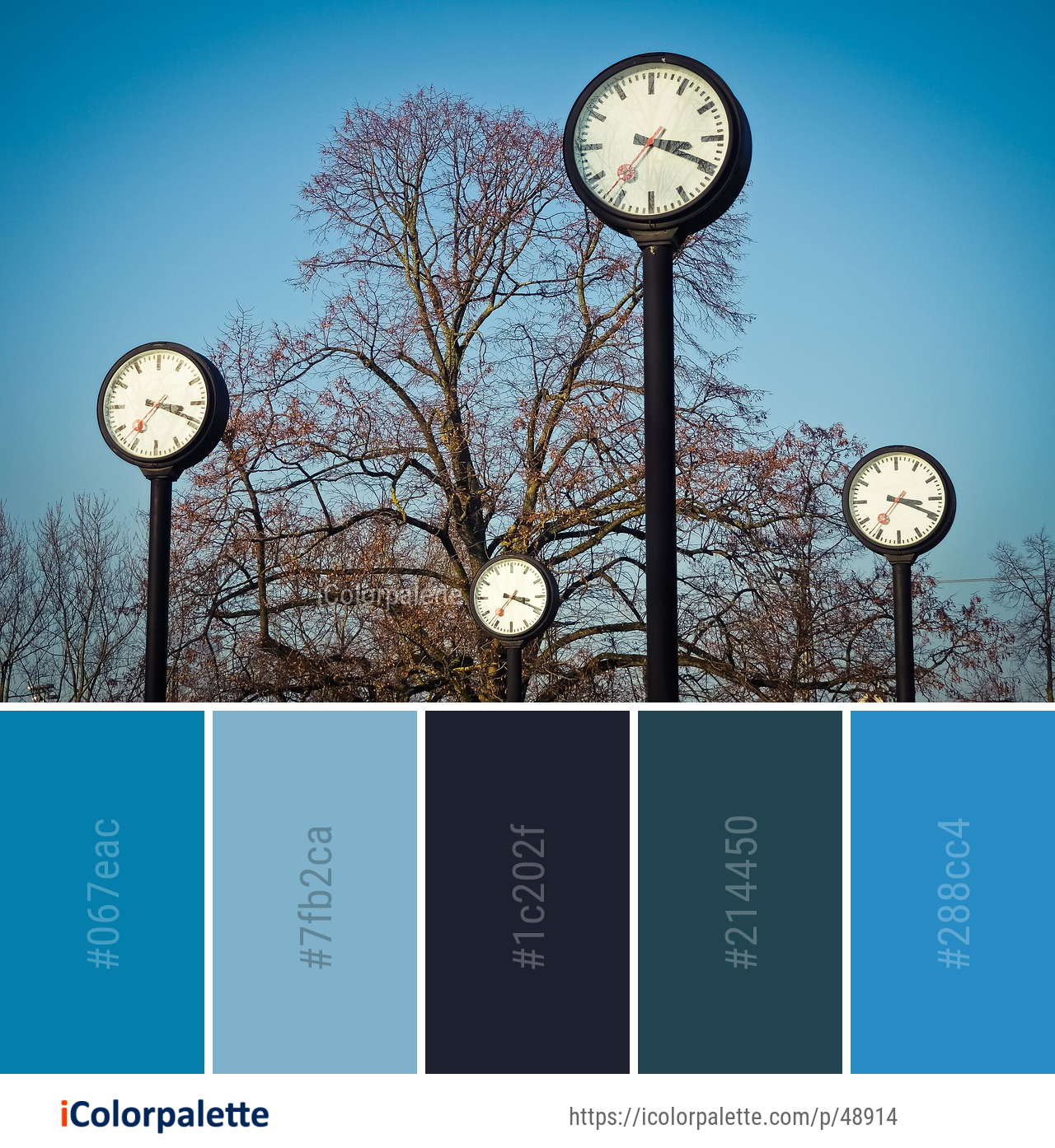 9 Clock Color Palette ideas in 2025 | iColorpalette