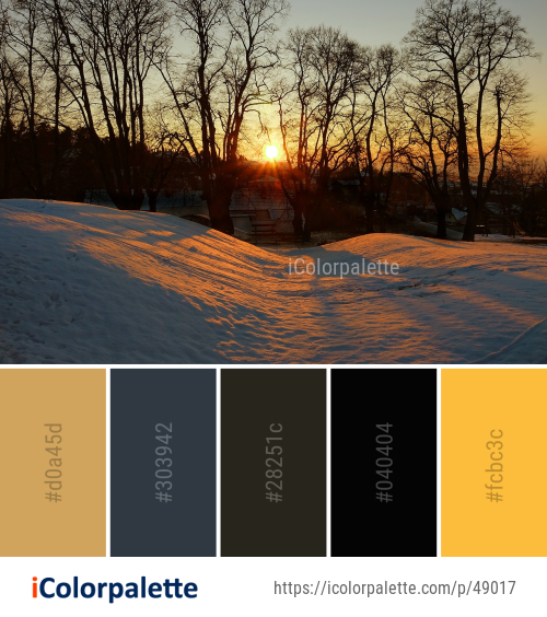 Color Palette Ideas from Snow Winter Sky Image | iColorpalette