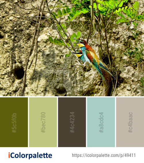 Color Palette Ideas from Bird Ecosystem Fauna Image | iColorpalette