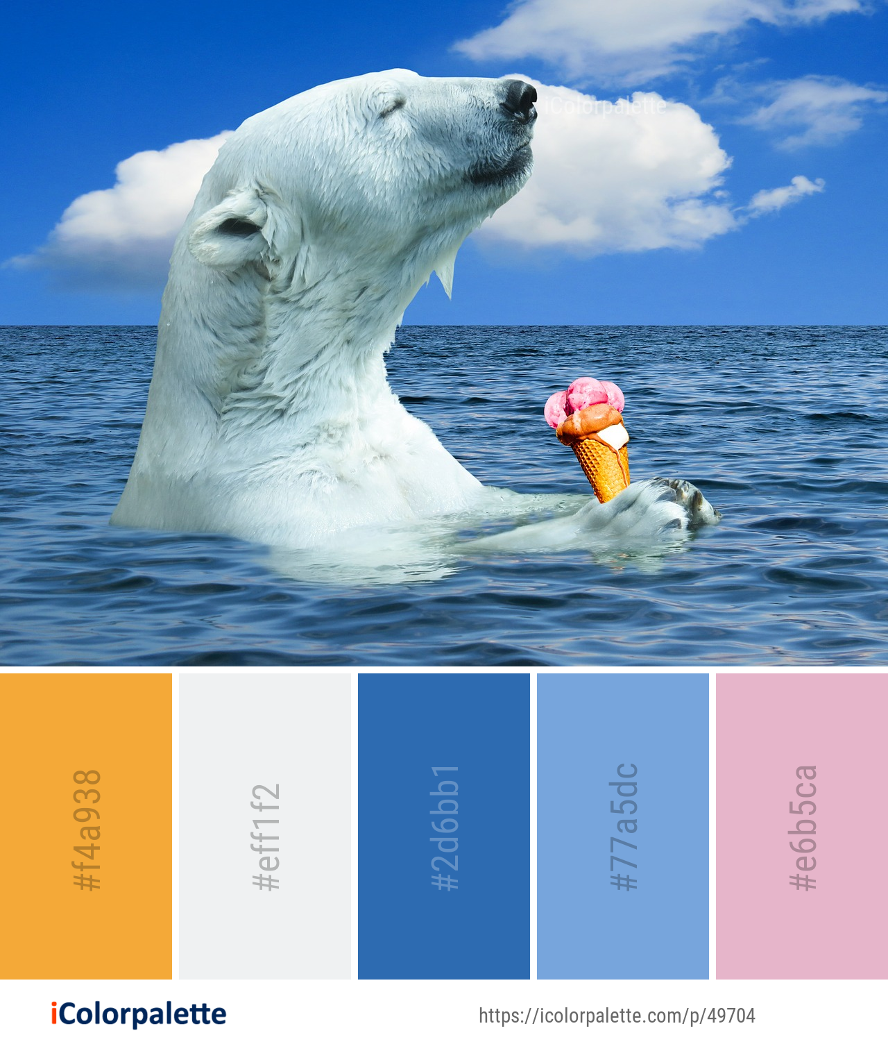 Color Palette Ideas from Polar Bear Mammal Image | iColorpalette