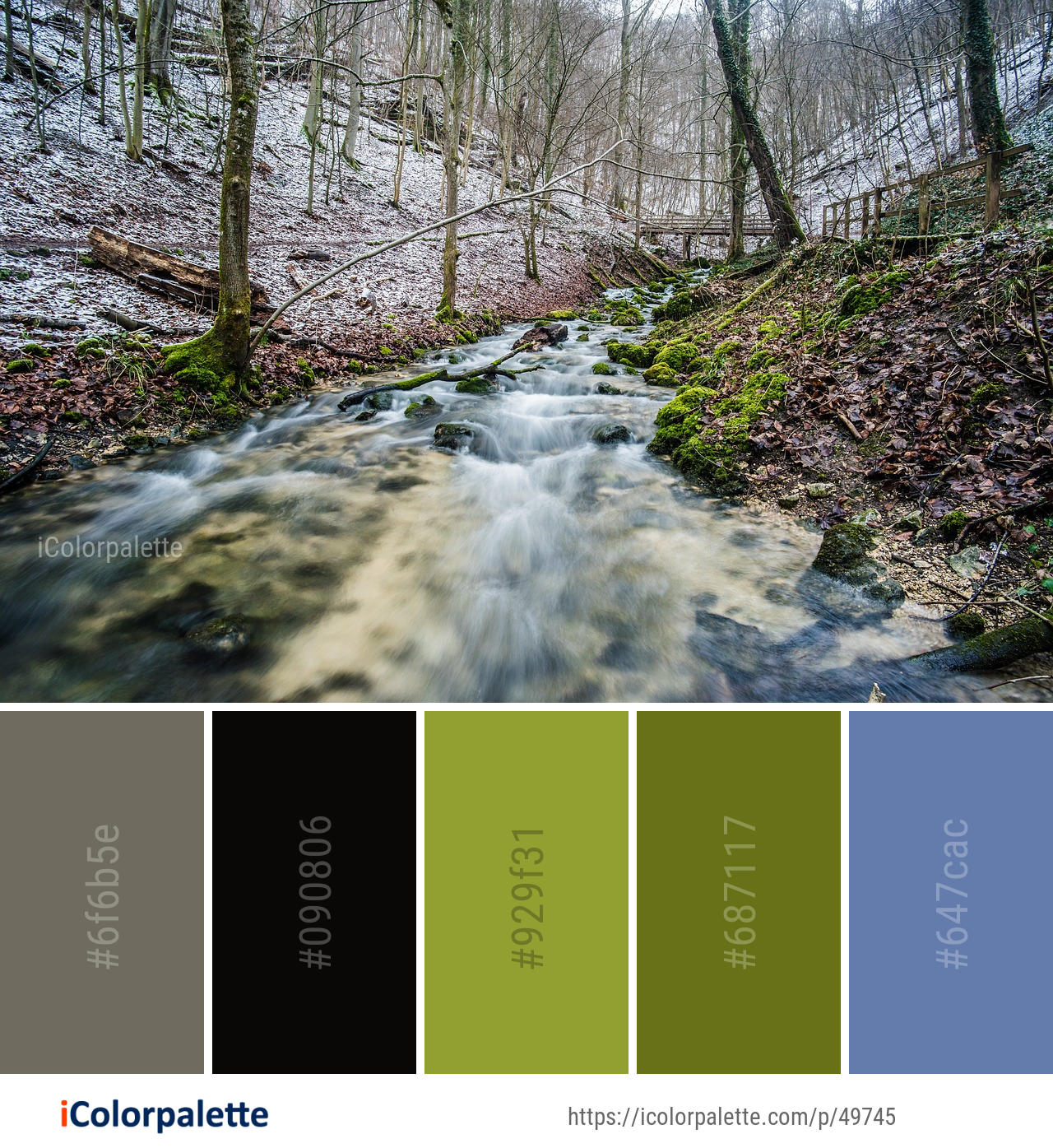 Color Palette Ideas from Water Stream Nature Image | iColorpalette