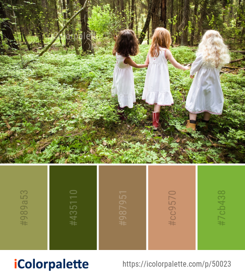 Color Palette Ideas from Nature Green Tree Image | iColorpalette