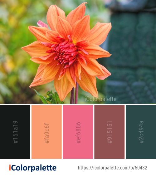 Color Palette Ideas from Flower Plant Flora Image | iColorpalette