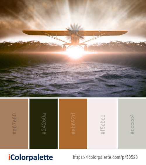 28+ Aviation Color Palette ideas in 2025 | iColorPalette