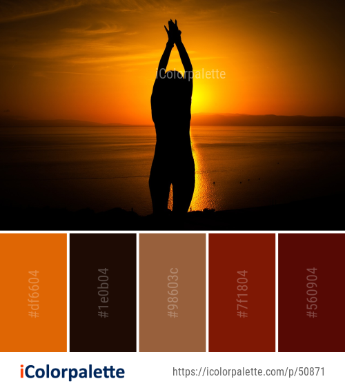 Color Palette Ideas from Sky Sunrise Sun Image | iColorPalette