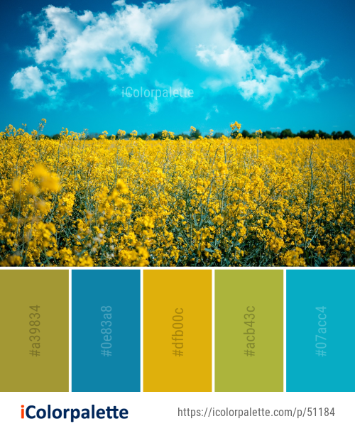 106 Canola Color Palette ideas in 2025 | iColorpalette