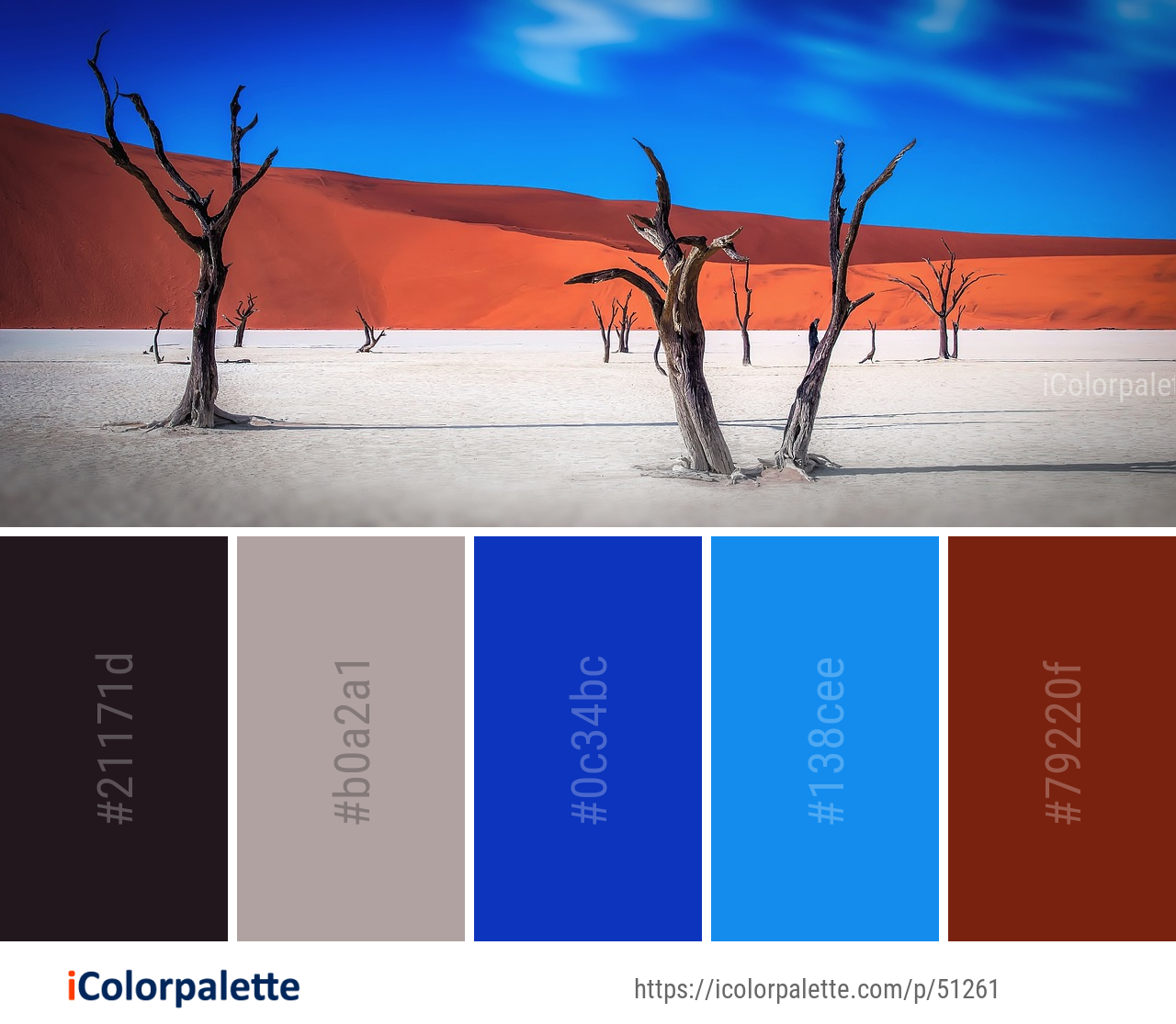 Color Palette Ideas from Sky Tree Landscape Image | iColorpalette