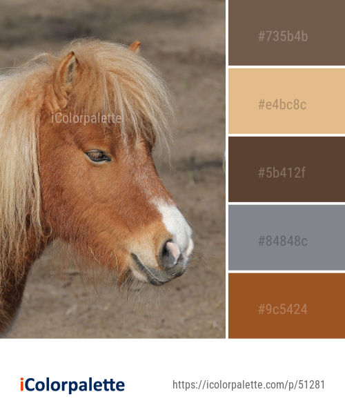 Color Palette Ideas from Horse Mane Like Mammal Image | iColorpalette