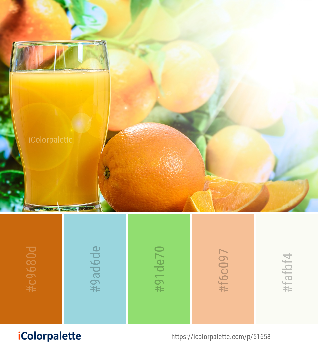 Color Palette Ideas from Juice Orange Citric Acid Image | iColorpalette Color Palette Ideas from Juice Orange Citric Acid Image | iColorpalette