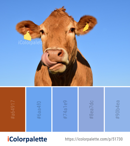 29+ Dairy Cow Color Palette ideas in 2026 | iColorPalette