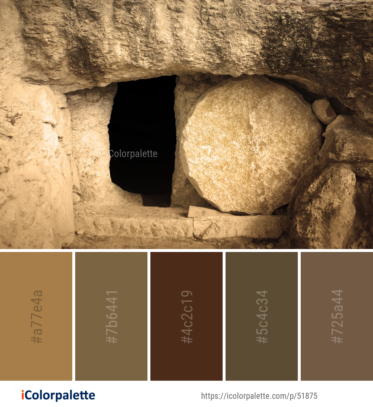 Color Palette Ideas from Rock Wall Light Image | iColorpalette