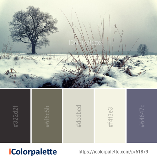Color Palette Ideas from Winter Snow Tree Image | iColorpalette