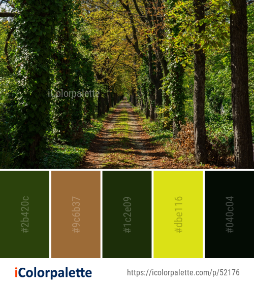 Color Palette Ideas from Nature Woodland Leaf Image | iColorpalette