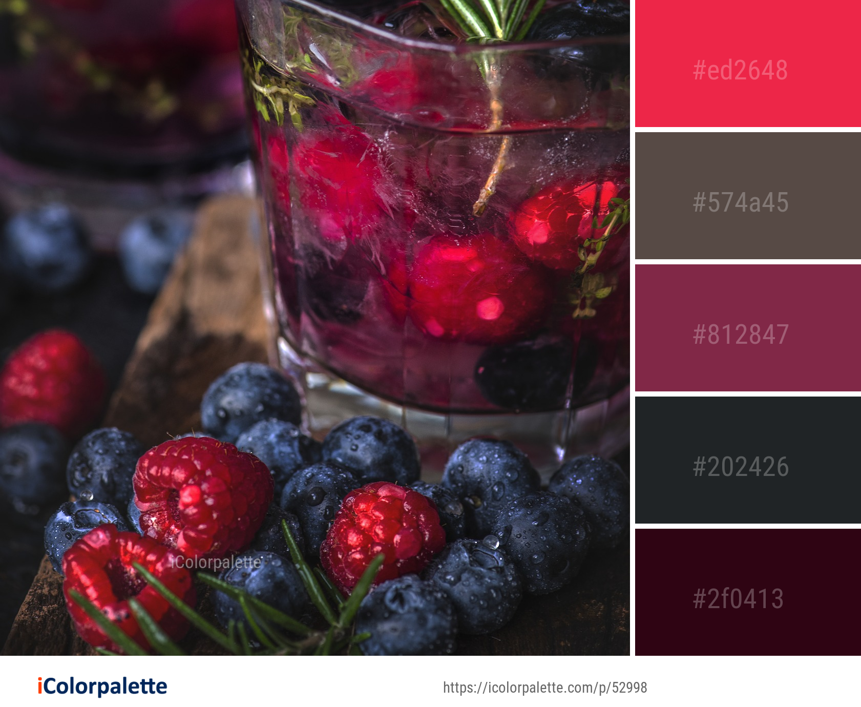 44+ Raspberry Color Palette ideas in 2025 | iColorPalette