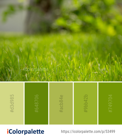 Color Palette Ideas from Green Grass Grassland Image | iColorpalette
