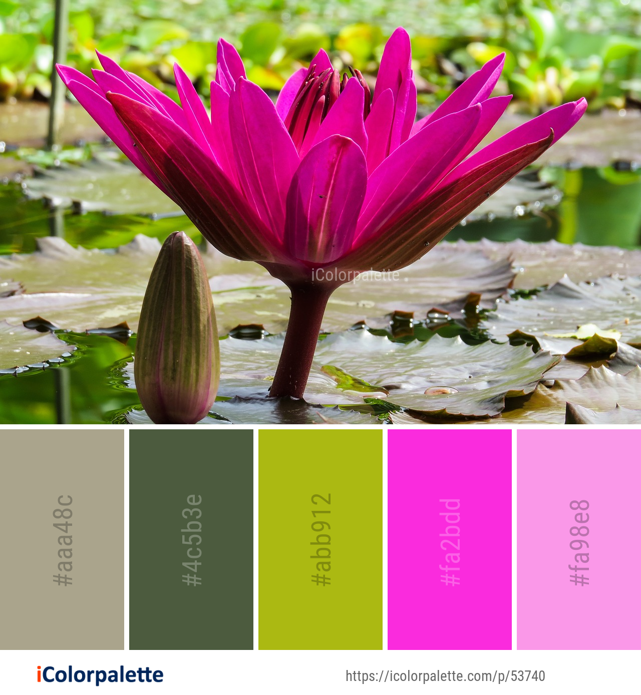 Color Palette Ideas from Flower Plant Flora Image | iColorpalette