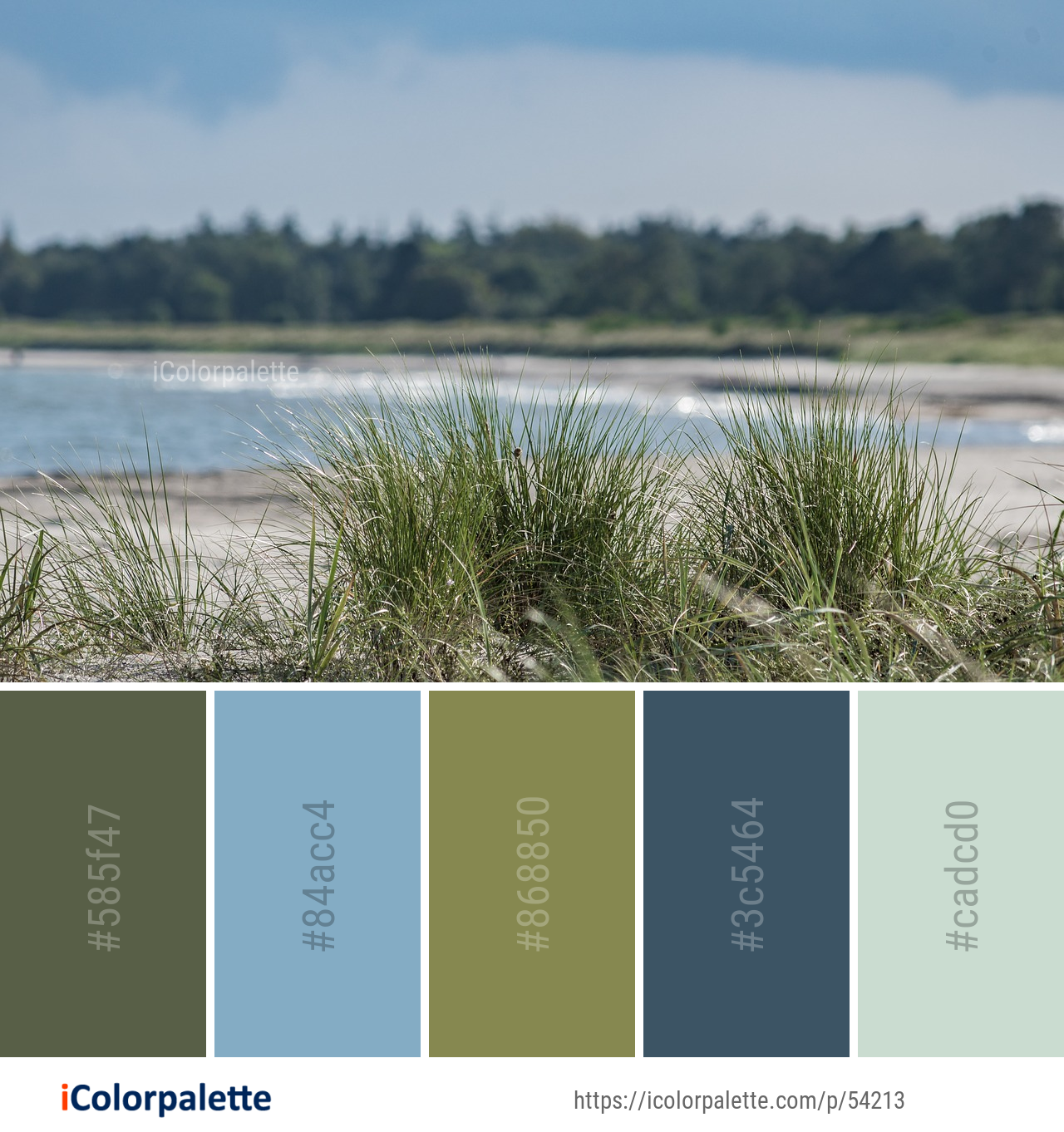 Color Palette Ideas from Water Ecosystem Wetland Image | iColorpalette
