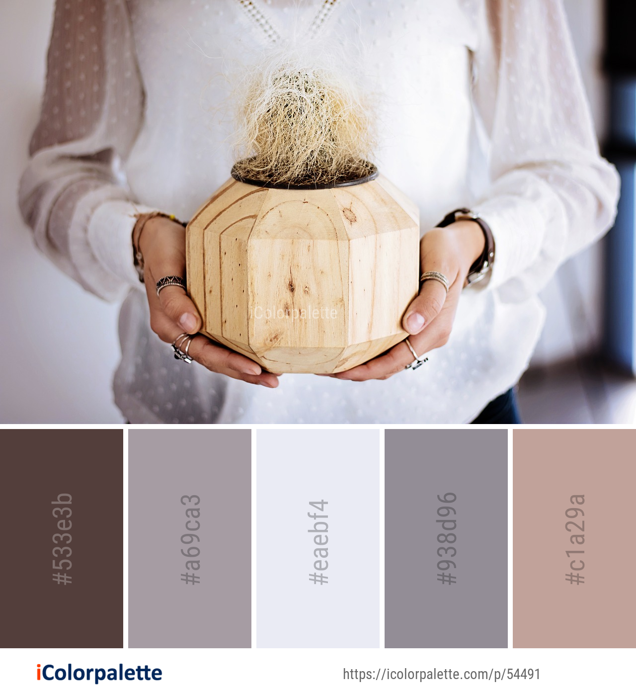 Color Palette Ideas from Colorful Image | iColorpalette