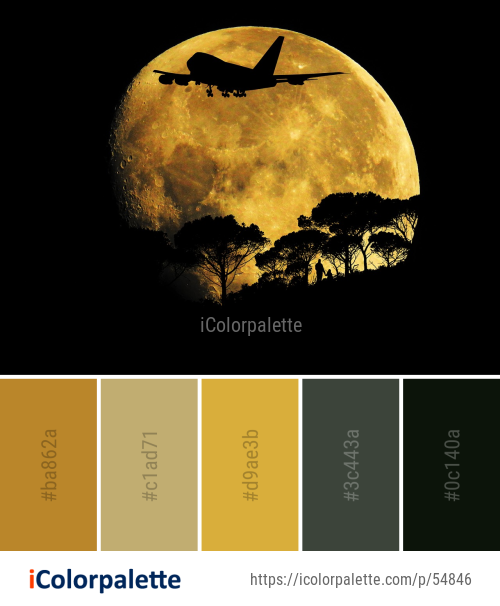 Color Palette Ideas from Moon Full Sky Image | iColorpalette