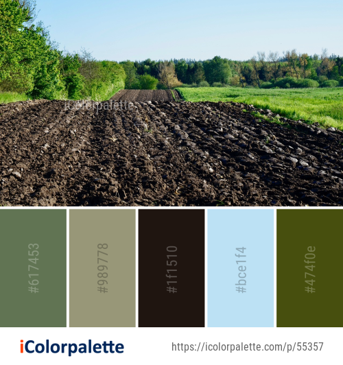 Color Palette Ideas from Soil Field Vegetation Image | iColorpalette