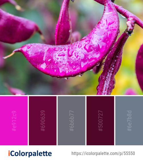 Color Palette Ideas from Flora Pink Flower Image | iColorpalette