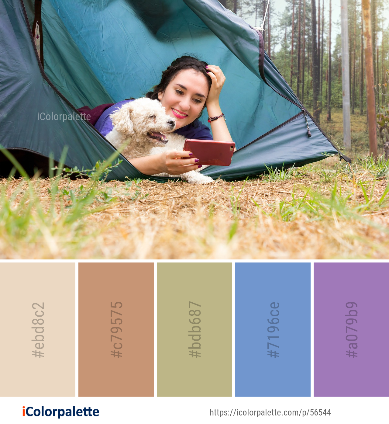 Color Palette Ideas from Camping Tent Grass Image | iColorpalette
