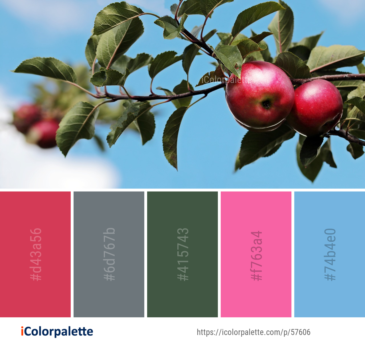 Color Palette Ideas from Fruit Apple Branch Image | iColorpalette