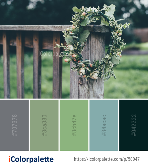 Color Palette Ideas from Flower Tree Plant Image | iColorpalette