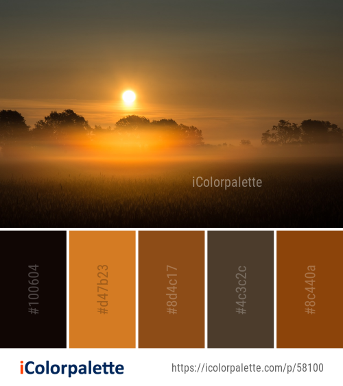 Color Palette Ideas from Sunrise Sun Morning Image | iColorpalette