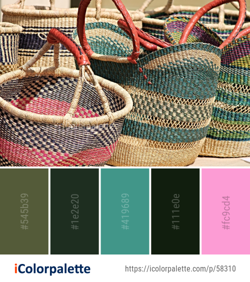 11+ Rope Color Palette ideas in 2025 | iColorPalette