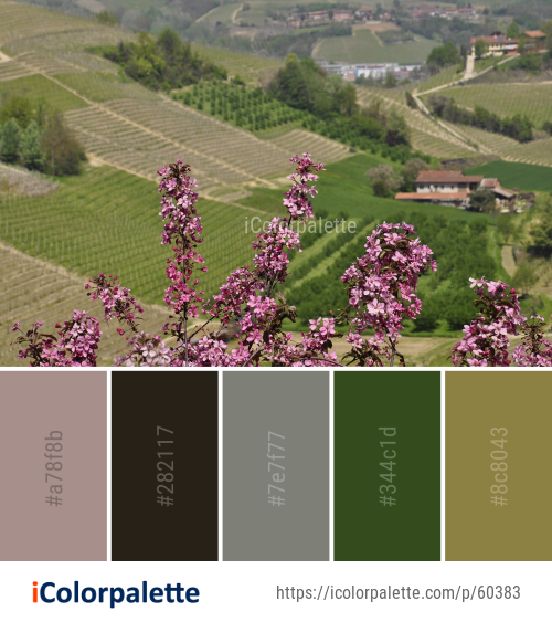 Color Palette Ideas from Flower Plant Field Image | iColorpalette