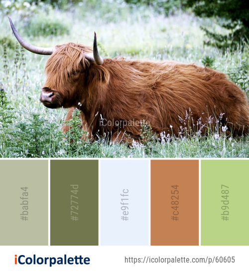 14 Bison Color Palette ideas in 2025 | iColorpalette