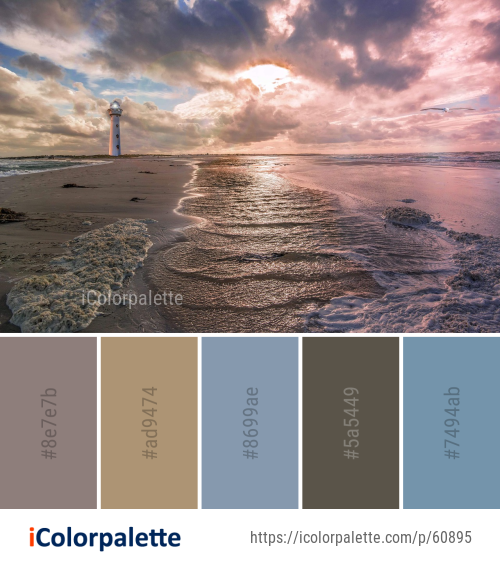 Color Palette Ideas from Sea Sky Shore Image | iColorpalette