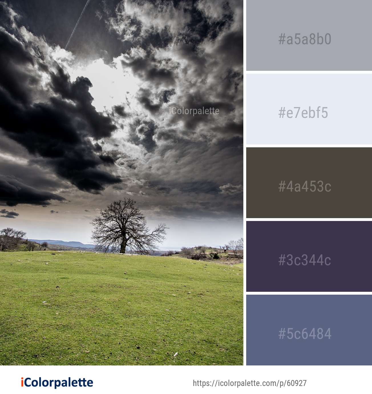 Color Palette Ideas from Sky Cloud Nature Image | iColorpalette