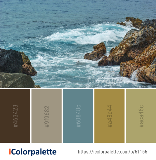 Color Palette Ideas from Sea Coast Coastal And Oceanic Landforms Image ...