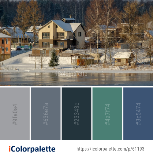Color Palette Ideas from Winter Water Home Image | iColorPalette
