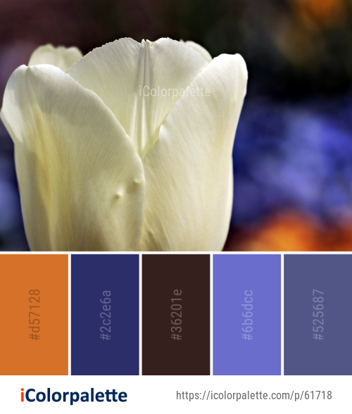 Color Palette Ideas from Flower White Petal Image | iColorpalette