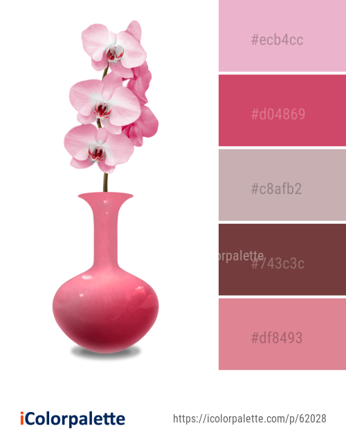 Color Palette Ideas from Flower Pink Vase Image | iColorpalette
