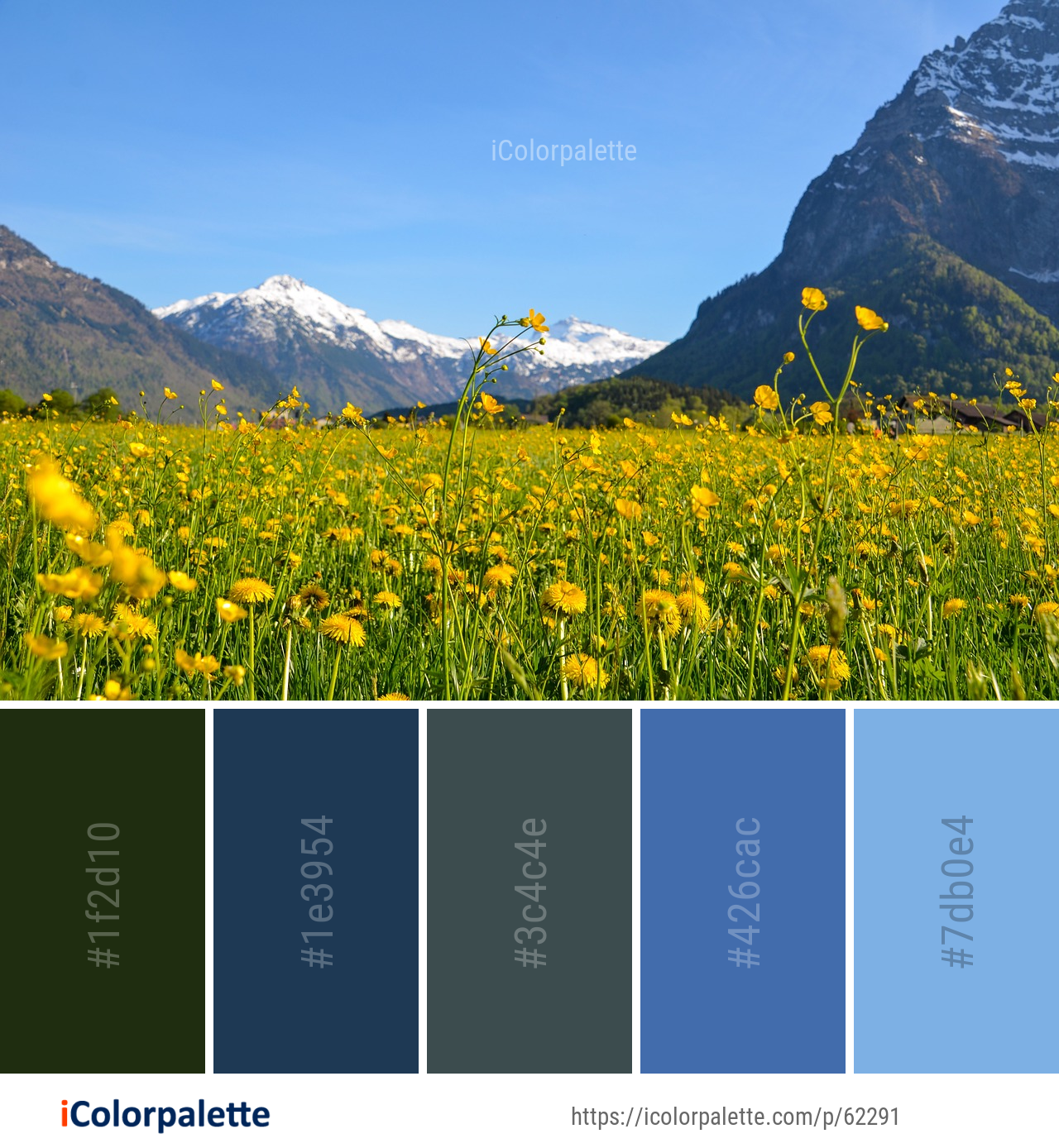 Color Palette Ideas from Grassland Wildflower Meadow Image | iColorpalette