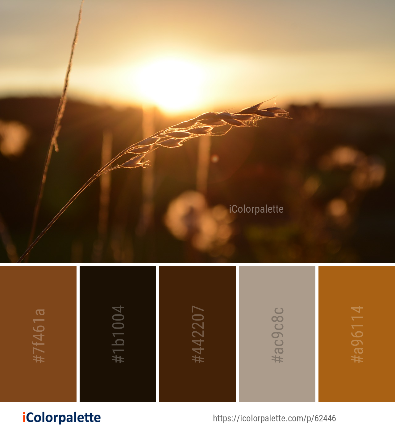 Color Palette Ideas from Sun Sky Sunlight Image | iColorpalette