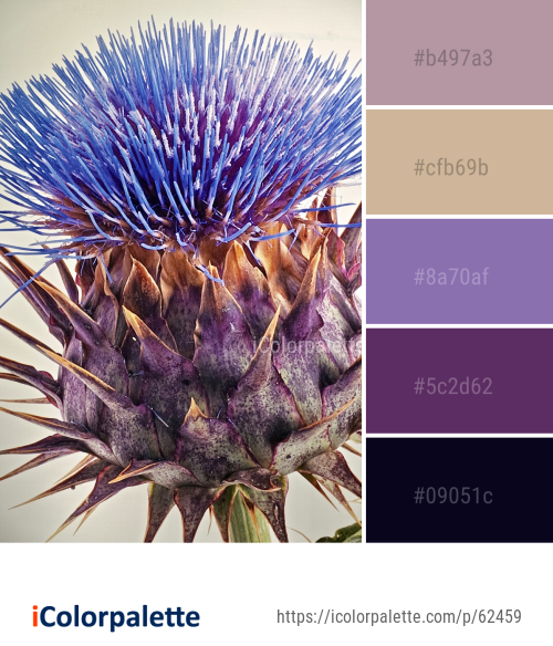 Color Palette Ideas from Artichoke Thistle Cynara Image | iColorpalette