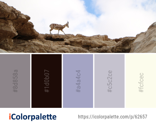 Color Palette Ideas from Fauna Sky Rock Image | iColorpalette