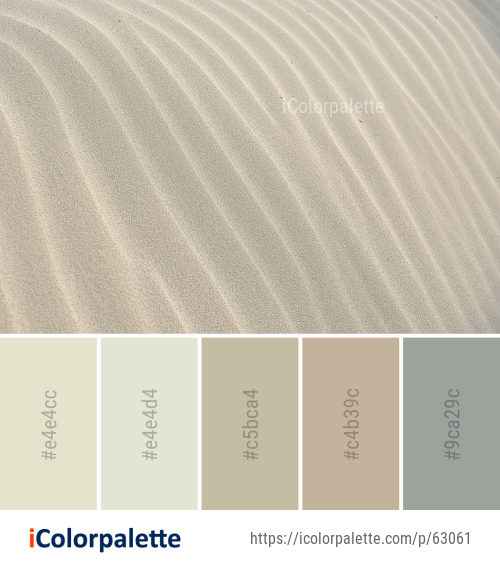 Color Palette Ideas from Sand Material Line Image | iColorpalette
