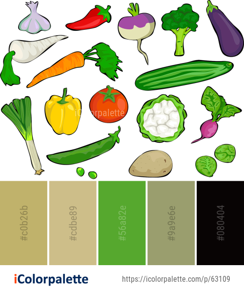 Color Palette Ideas from Produce Vegetable Food Image | iColorpalette