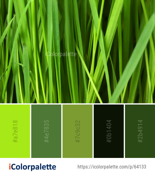 Color Palette Ideas from Green Grass Family Image | iColorpalette