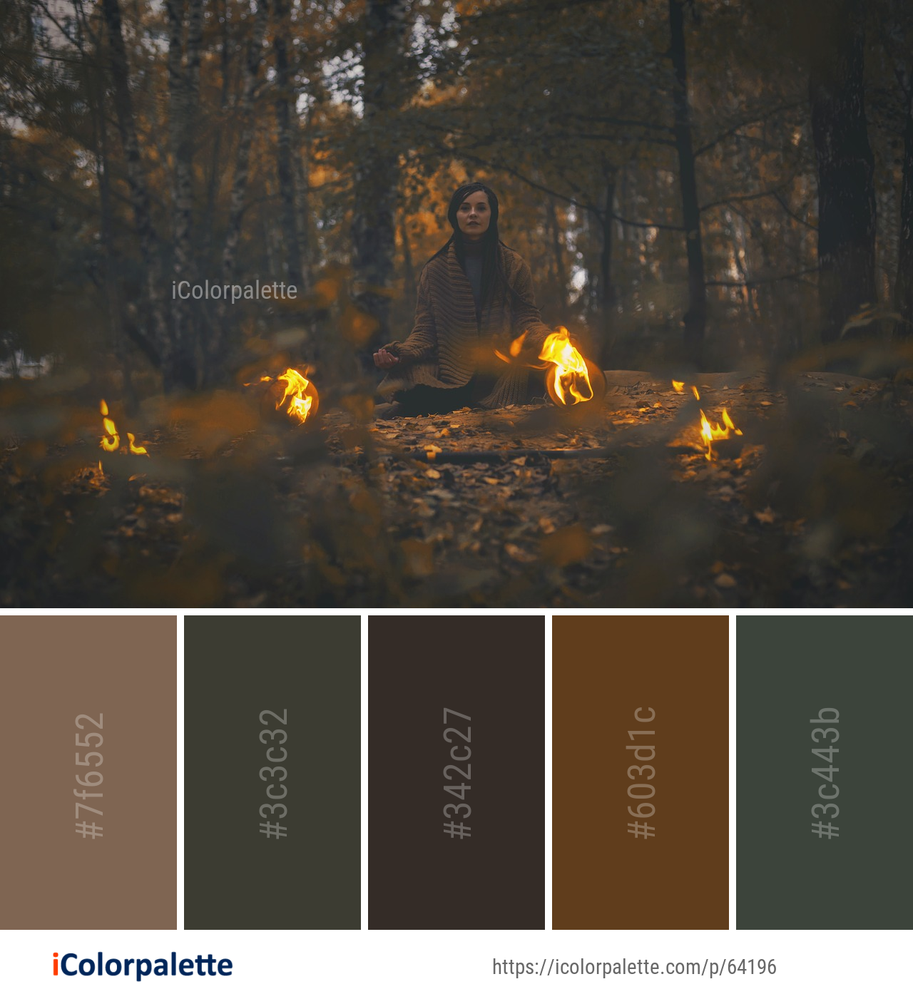 31+ Fire Color Palette ideas in 2025 | iColorPalette